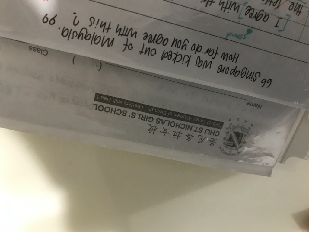 CHIJ SNGS IP History Lower Sec notes and materials (St Nicholas ...