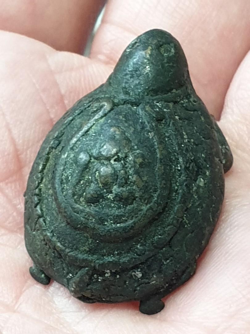 Phaya Tao (turtle), Hobbies & Toys, Memorabilia & Collectibles ...