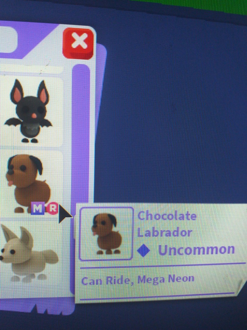 Roblox adopt me MR Chocolate Labrador(can ride,Mega Neon), 其他, 其他 ...