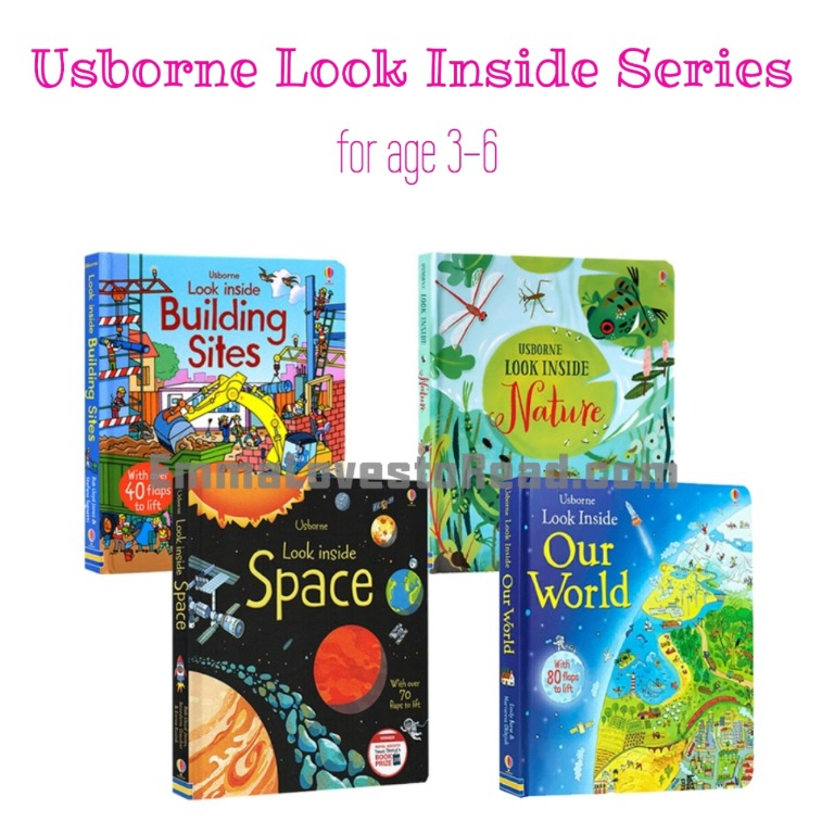 Usborne Look Inside Lift the Flap Board Books, Hobbies & Toys, Books ...