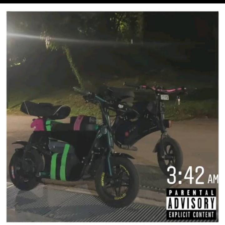 Dyu 60v [fiido dualtron ultron inokim bronco speedway dyu fiido ...