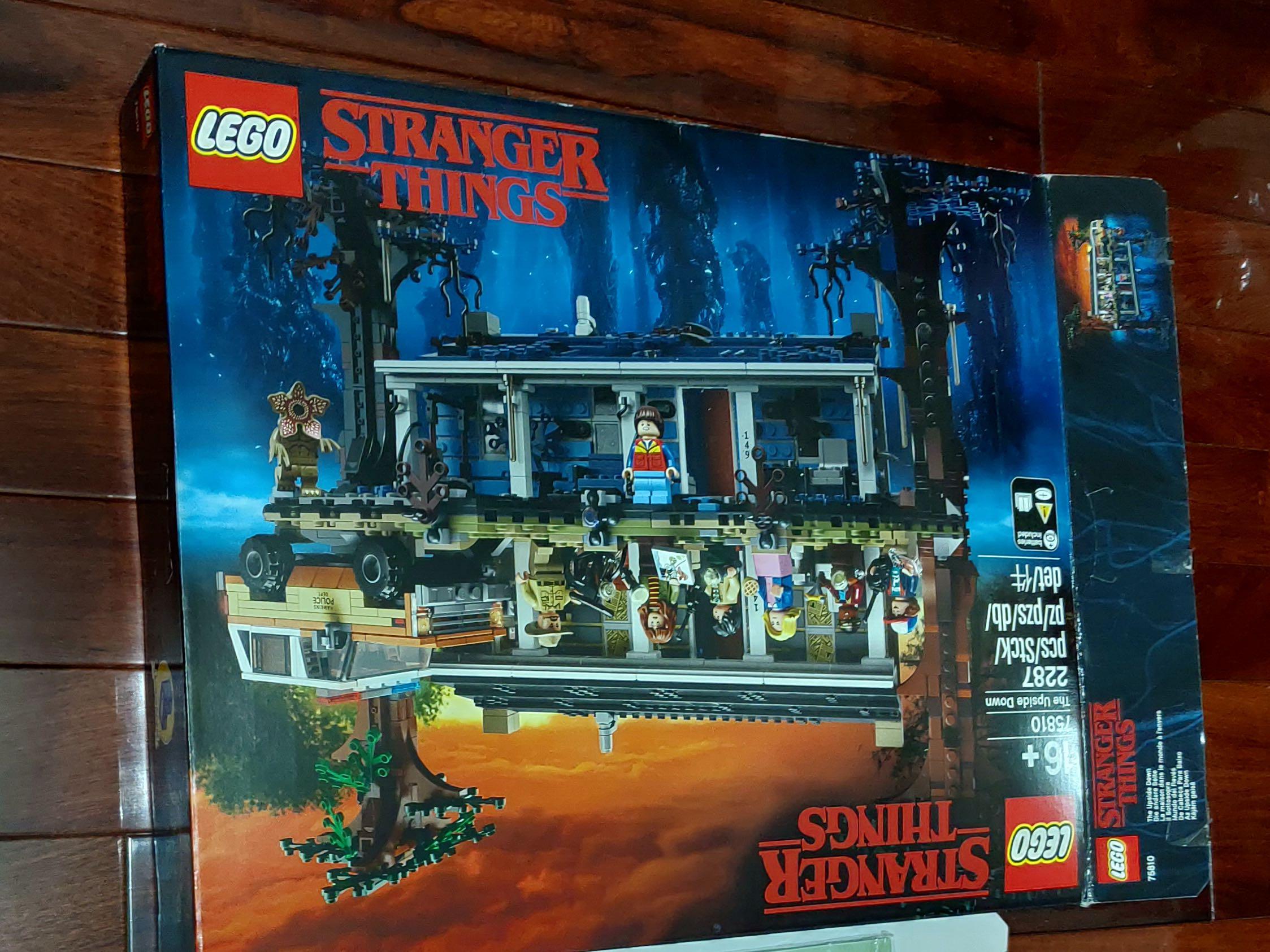 Lego 75810 Box 樂高外盒, 書籍、休閒與玩具, 玩具、公仔、桌遊在旋轉拍賣