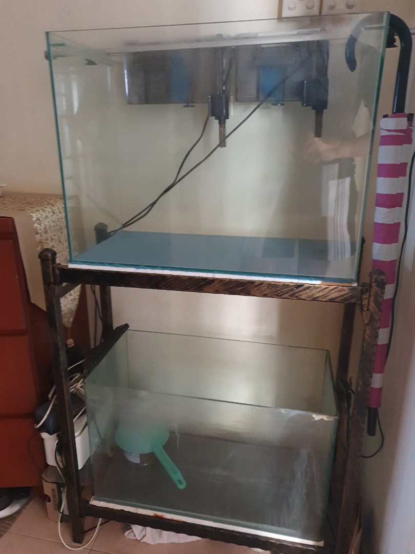 Used two fish tanks (both 2 ft) + metal stand, Everything Else on Carousell