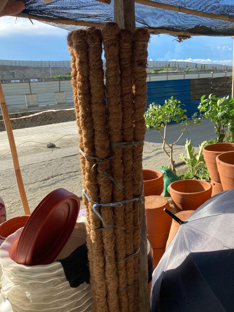 Coco pole 4ft, Furniture & Home Living, Gardening, Gardening Tools ...