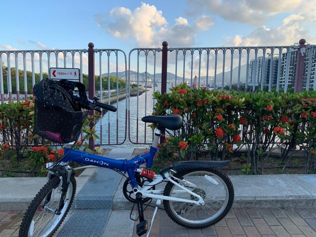 Dahon Fox D6 20吋 摺疊單車 入門慳位, 運動產品, 單車及配件, 單車 - Carousell