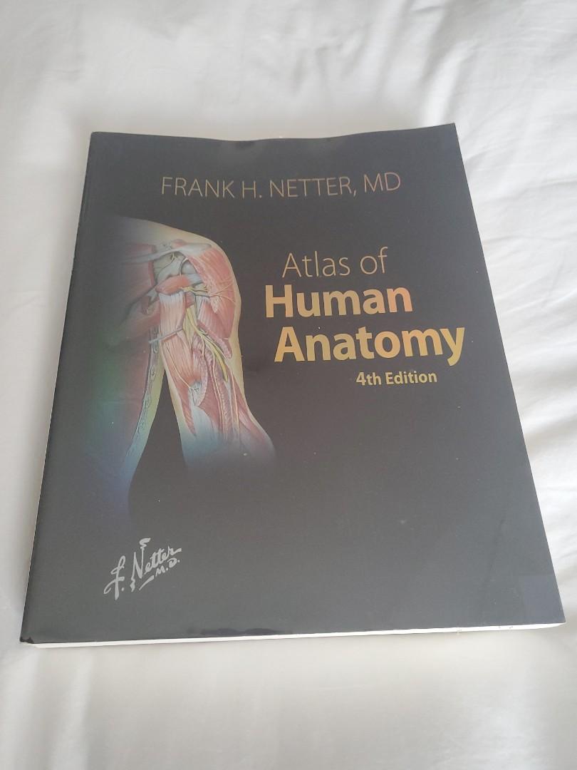 Frank netter anatomy, Hobbies & Toys, Books & Magazines, Textbooks on ...