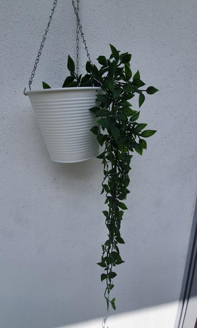 IKEA FEJKA artificial plant hanging, Furniture & Home Living, Home ...