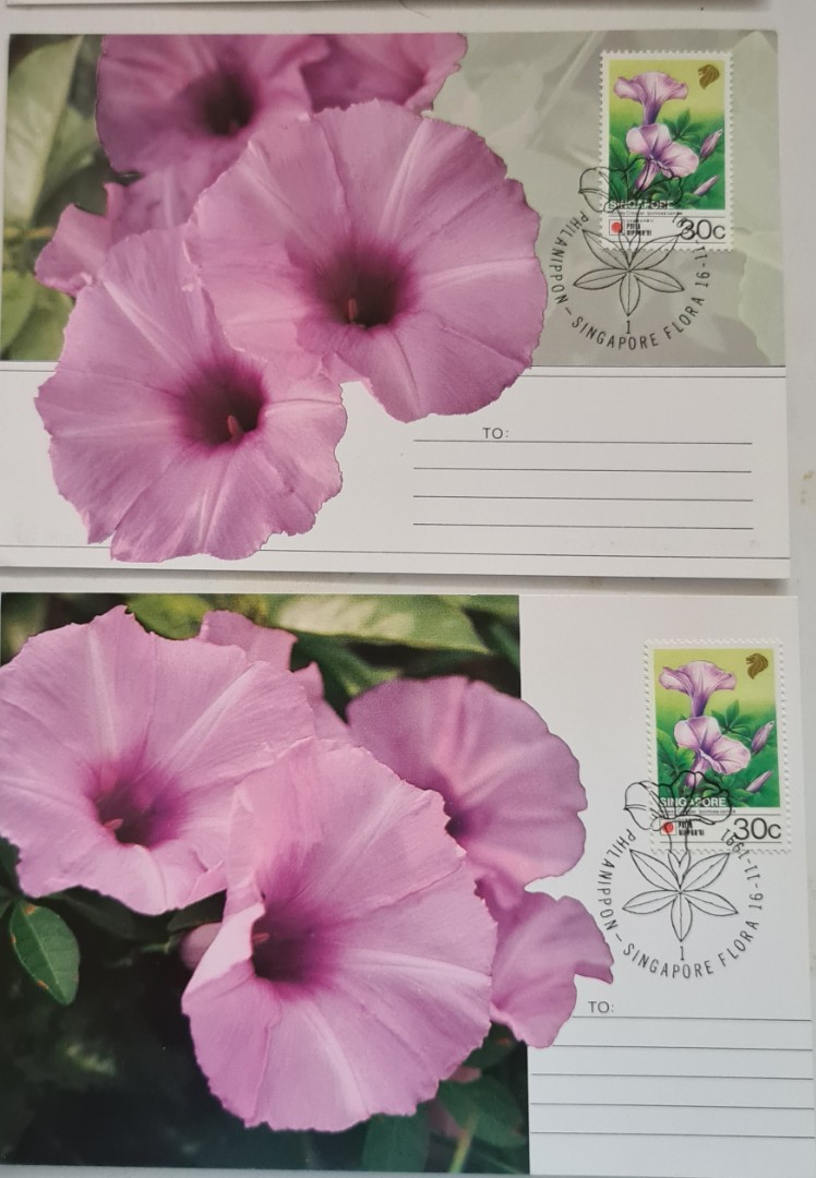 Singapore 1991 Maxi-card Flora Series completed set of 2 C.T.O, Hobbies ...