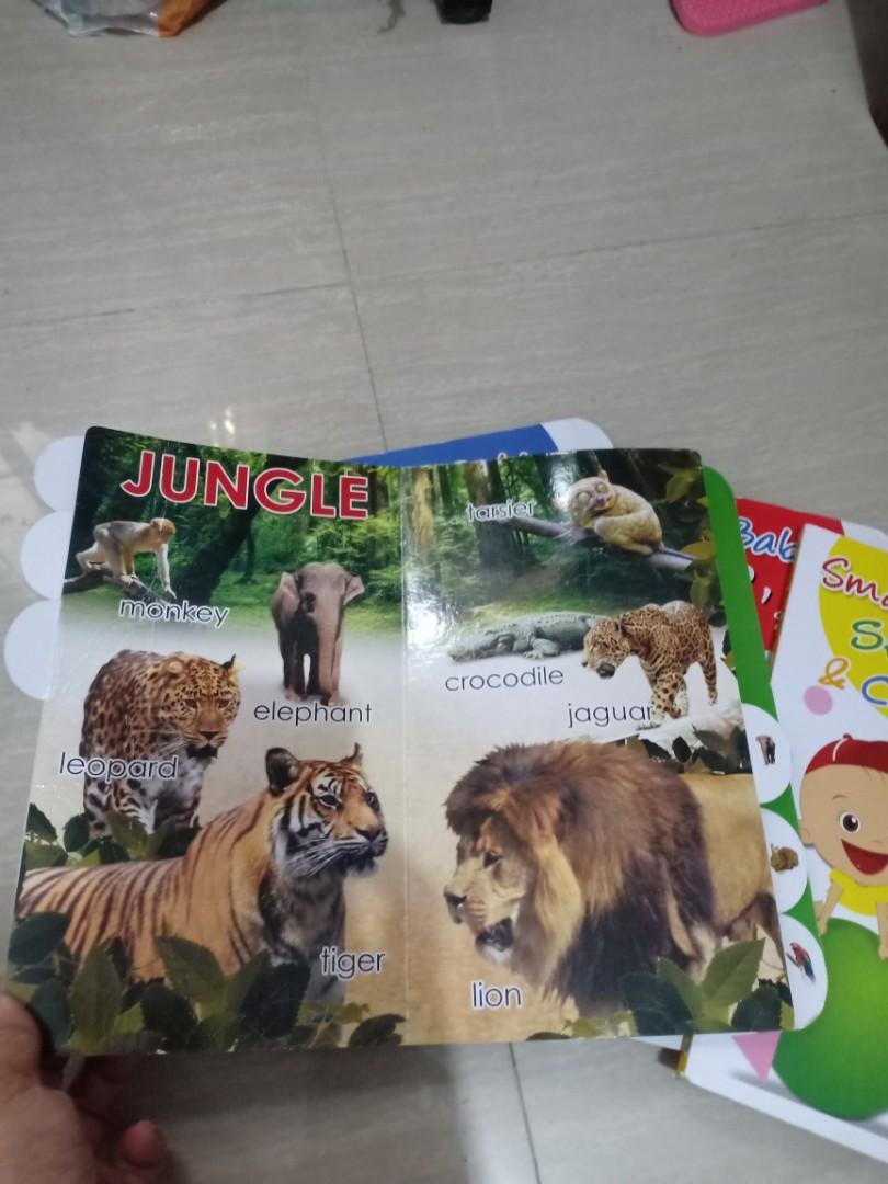 Smart Babies Early Learning Board Books Set of 4 with Carry Case ...