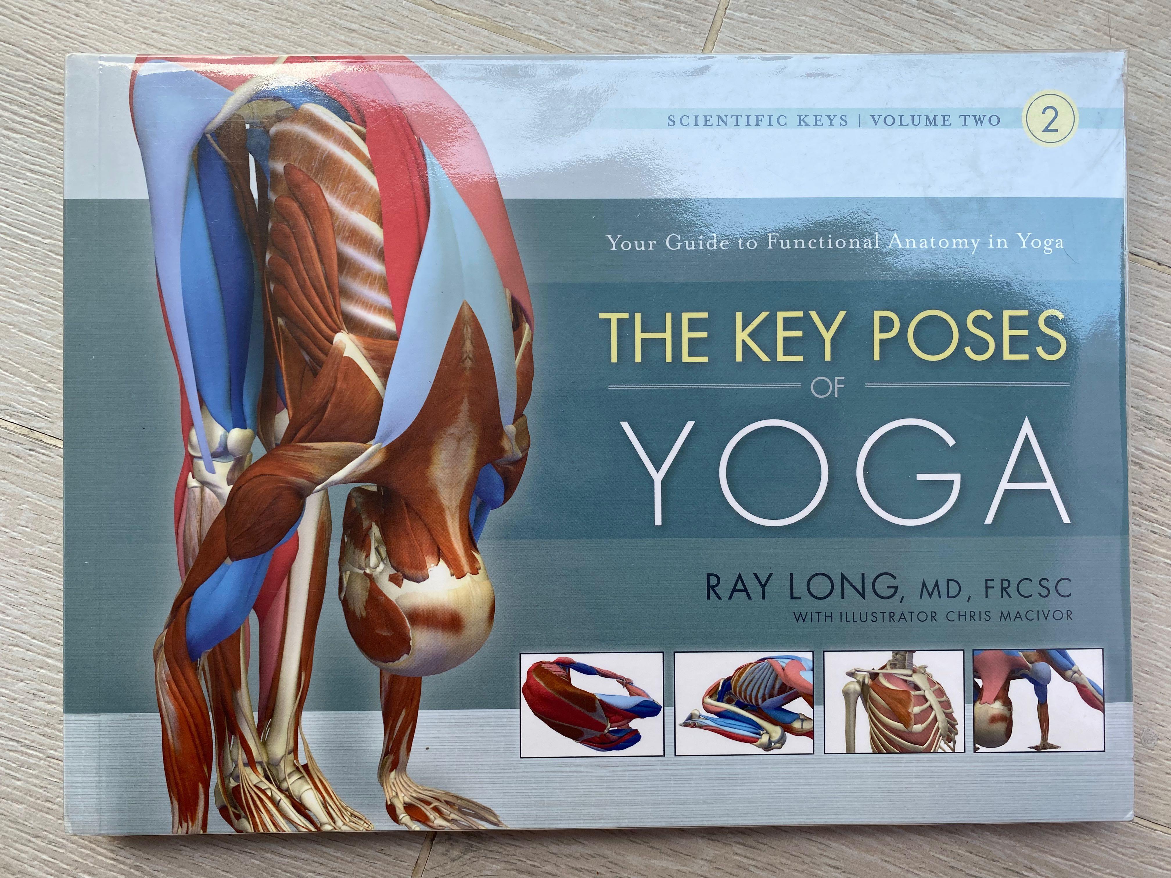 The key muscles of yoga / key poses of yoga / anatomy for arm balances ...