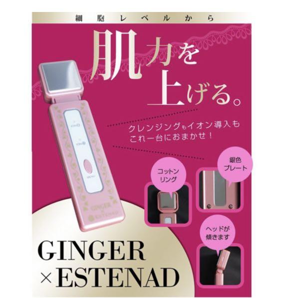 GINGER X ESTENAD Ion beauty face device Ionizer machine portable ...