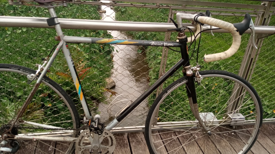 Vintage Steel Road Bike, Sports Equipment, Bicycles & Parts, Bicycles ...