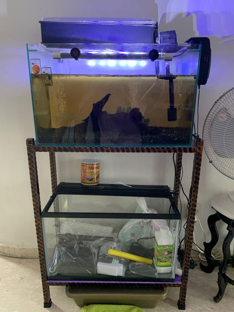 2 fish tanks with stand, Pet Supplies, Homes & Other Pet Accessories on ...