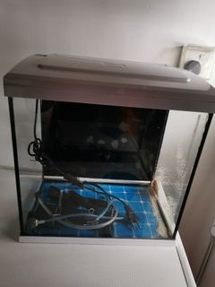 Fish Tank 46cm L x 43cm H x 25cm W, Pet Supplies, Homes & Other Pet ...
