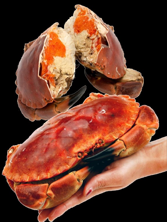 Frozen Cooked Brown Crab Seafood 700g +/-, Food & Drinks, Chilled ...