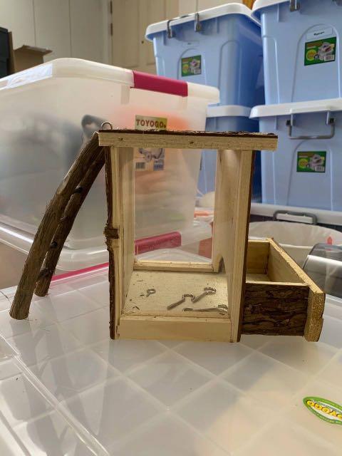 Hamster Burrow Box, Pet Supplies, Homes & Other Pet Accessories on ...