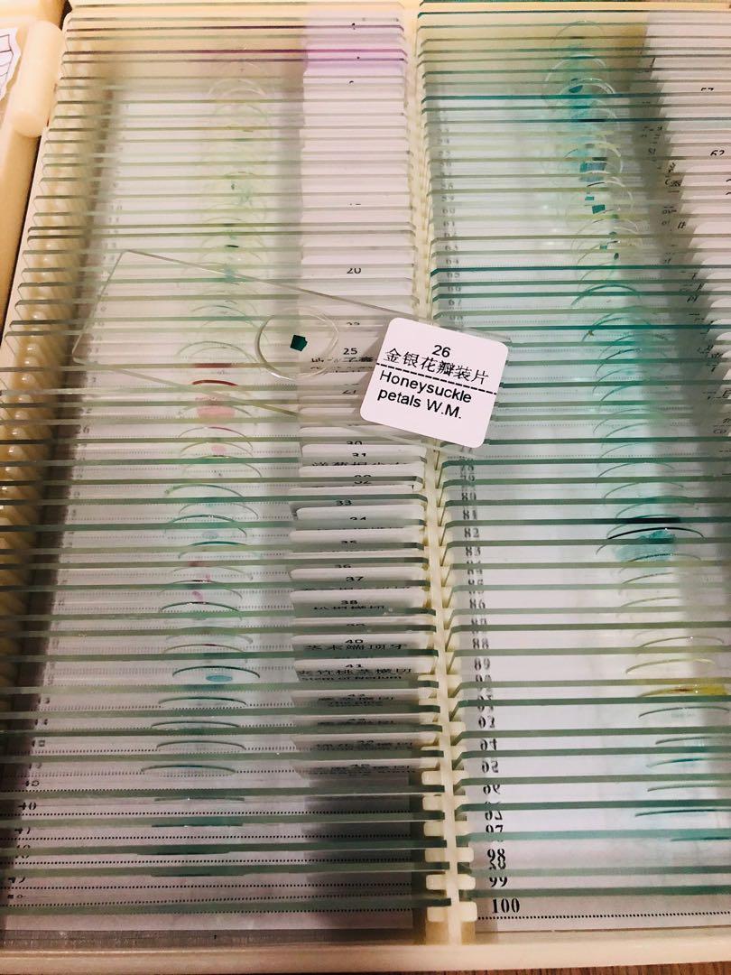 Full set Research Microscopy Specimen, Everything Else on Carousell