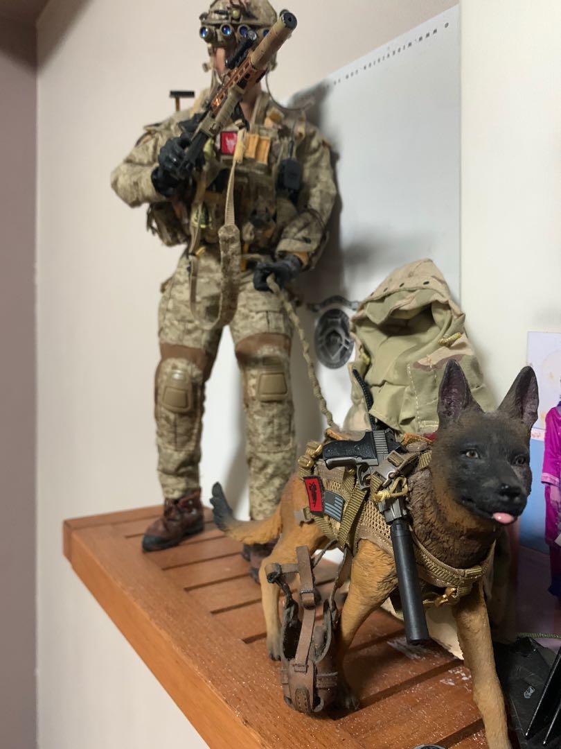 NAVY SEAL DEVGRU K9 HANDLER 1/6th Scale (DAMTOYS), Hobbies Toys, Toys ...