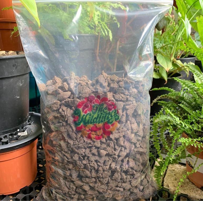 Pafcal 1KG Value Pack - The Soil Free Way to Grow Plants, Furniture ...