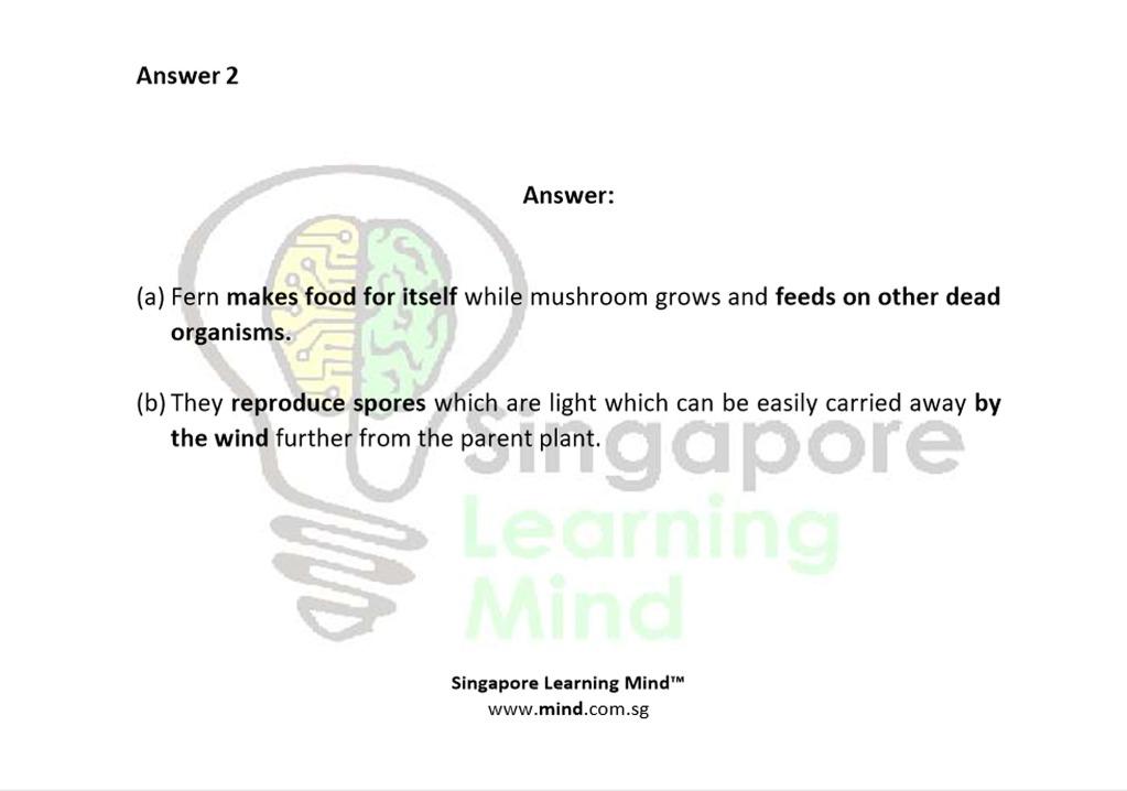 PSLE Science Revision Question Booklet - Singapore Learning Mind ...