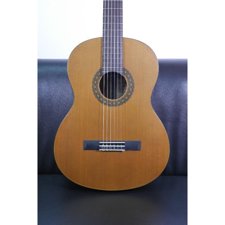 Walden N570 Solid Cedar Top Nylon String Classical Guitar for Beginner ...