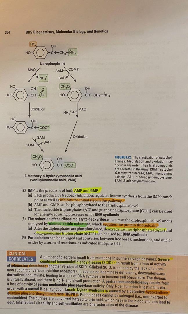 BRS Biochemistry & BRS Gross Anatomy Bundle, Hobbies & Toys, Books ...