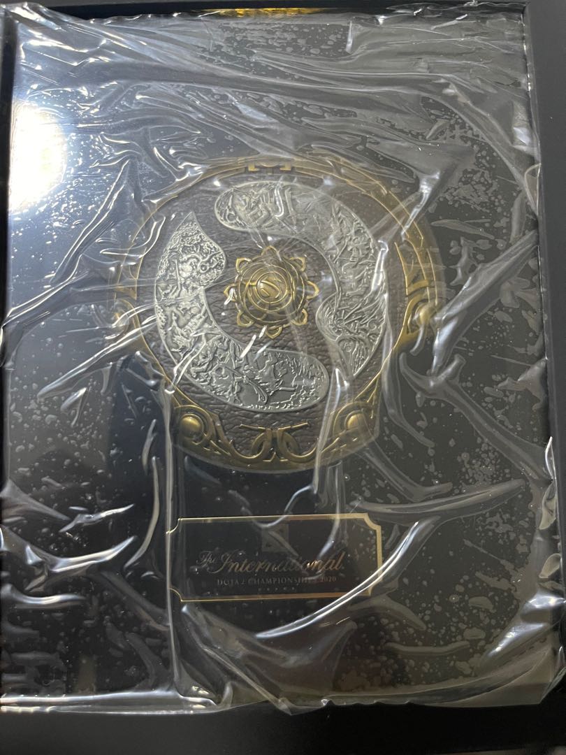 Dota 2 TI aegis, Video Gaming, Video Games, Others on Carousell