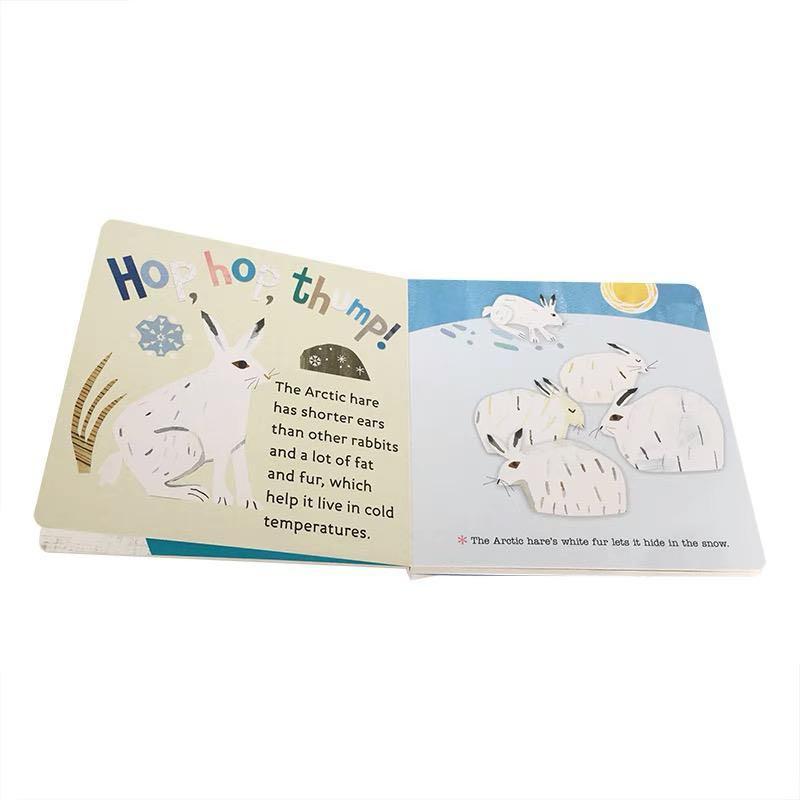 English Hello World! Series board book : Jill Mcdonald ocean life/ pets ...