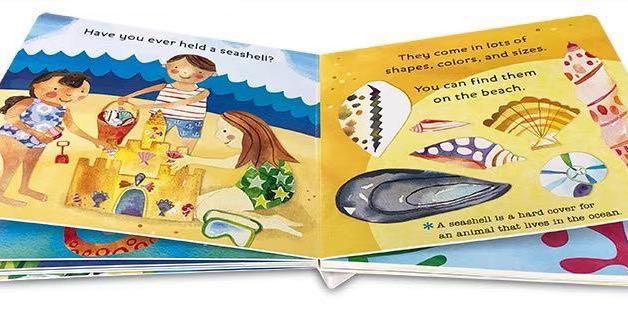 English Hello World! Series board book : Jill Mcdonald ocean life/ pets ...