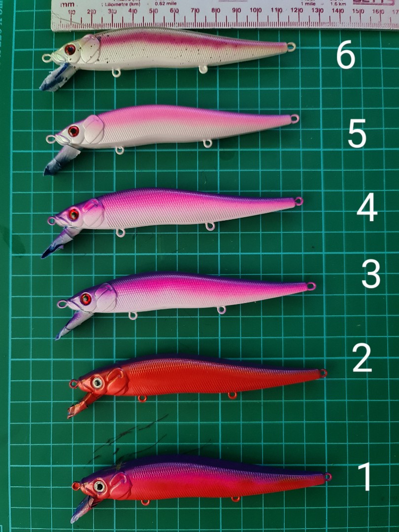 Hand painted Lures, Sports Equipment, Fishing on Carousell