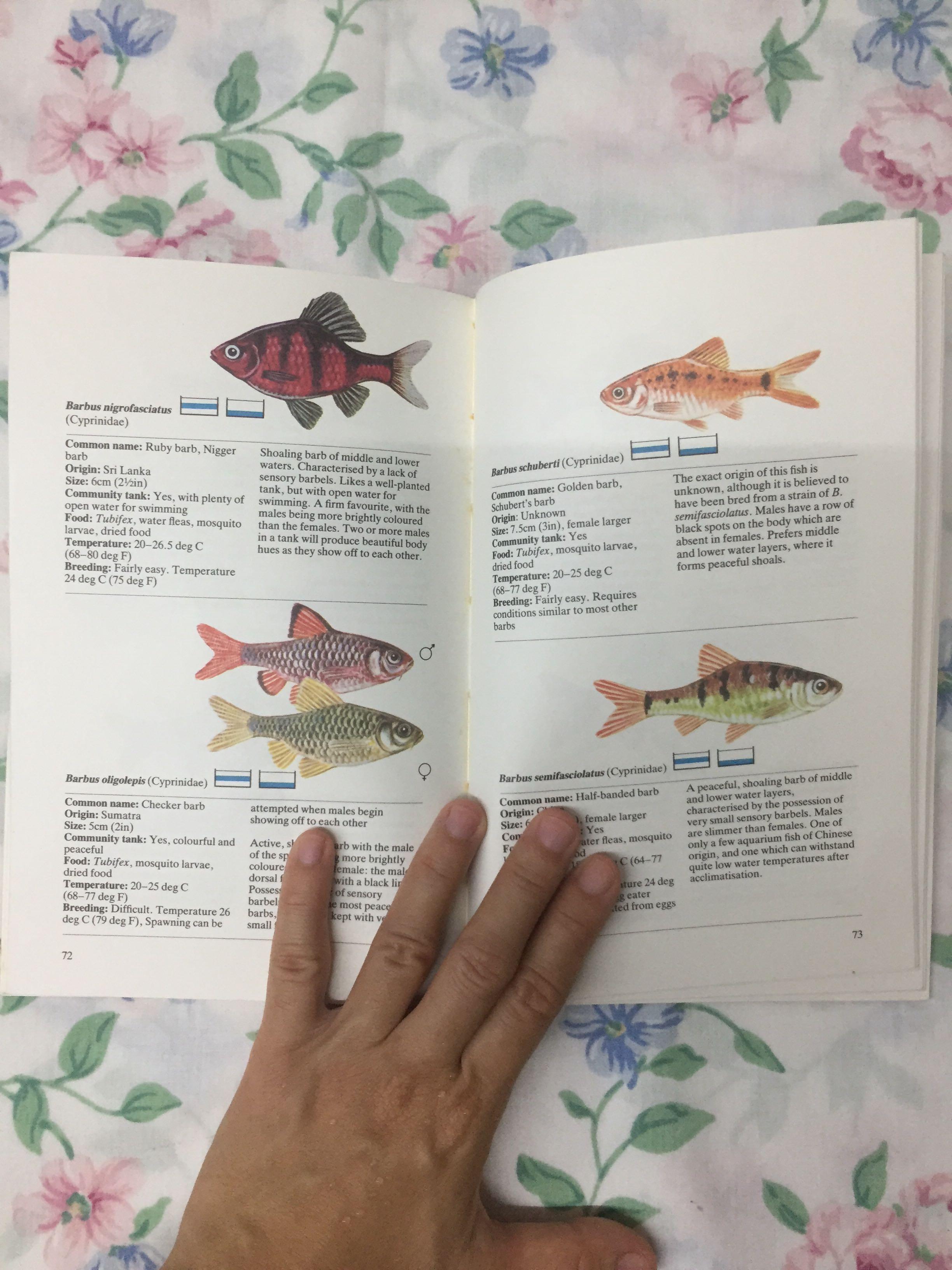 Tropical Fish Book Guide, Hobbies & Toys, Books & Magazines, Assessment ...
