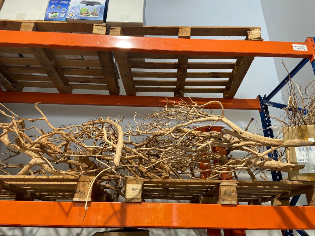 >4ft Aquarium branchy wood - all must go!, Pet Supplies, Homes & Other ...