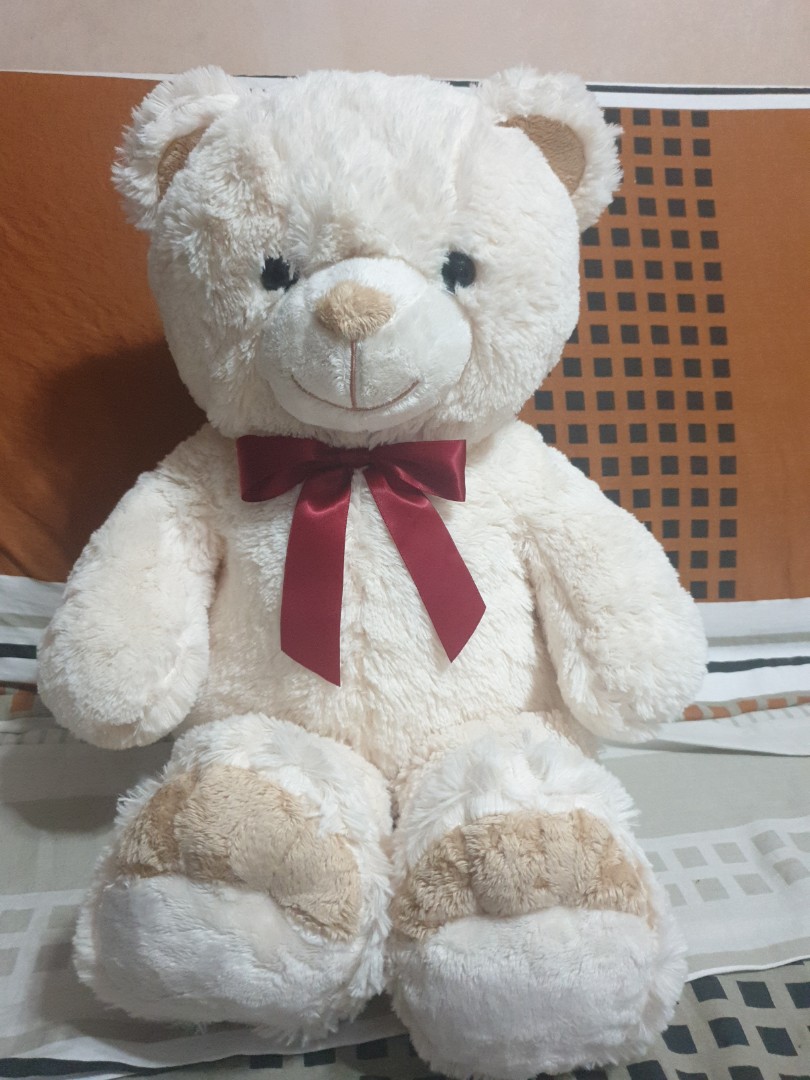 Cream colour Teddy plushie, Hobbies & Toys, Toys & Games on Carousell