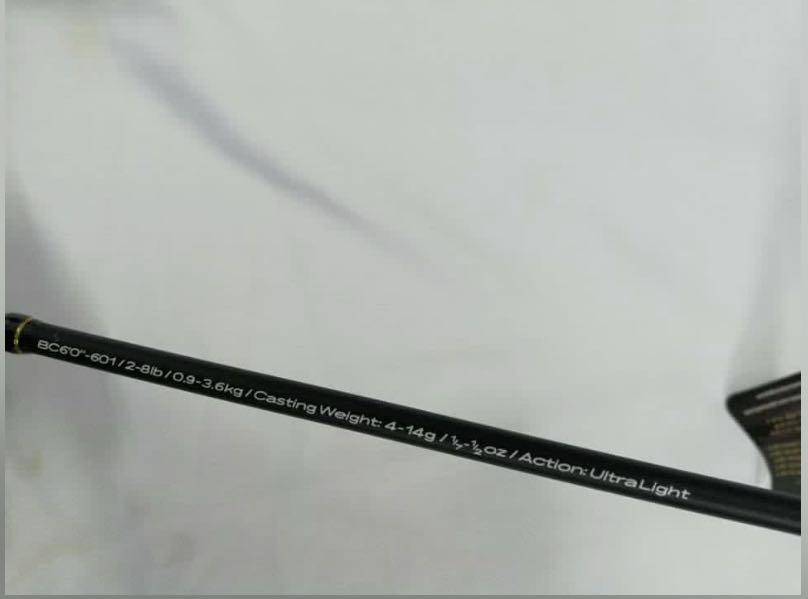 Pioneer Evo 2 Casting rod, Sports Equipment, Fishing on Carousell