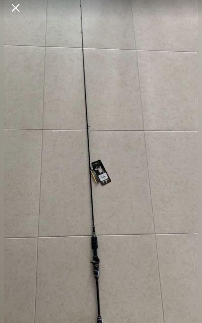 Pioneer Evo 2 Casting rod, Sports Equipment, Fishing on Carousell