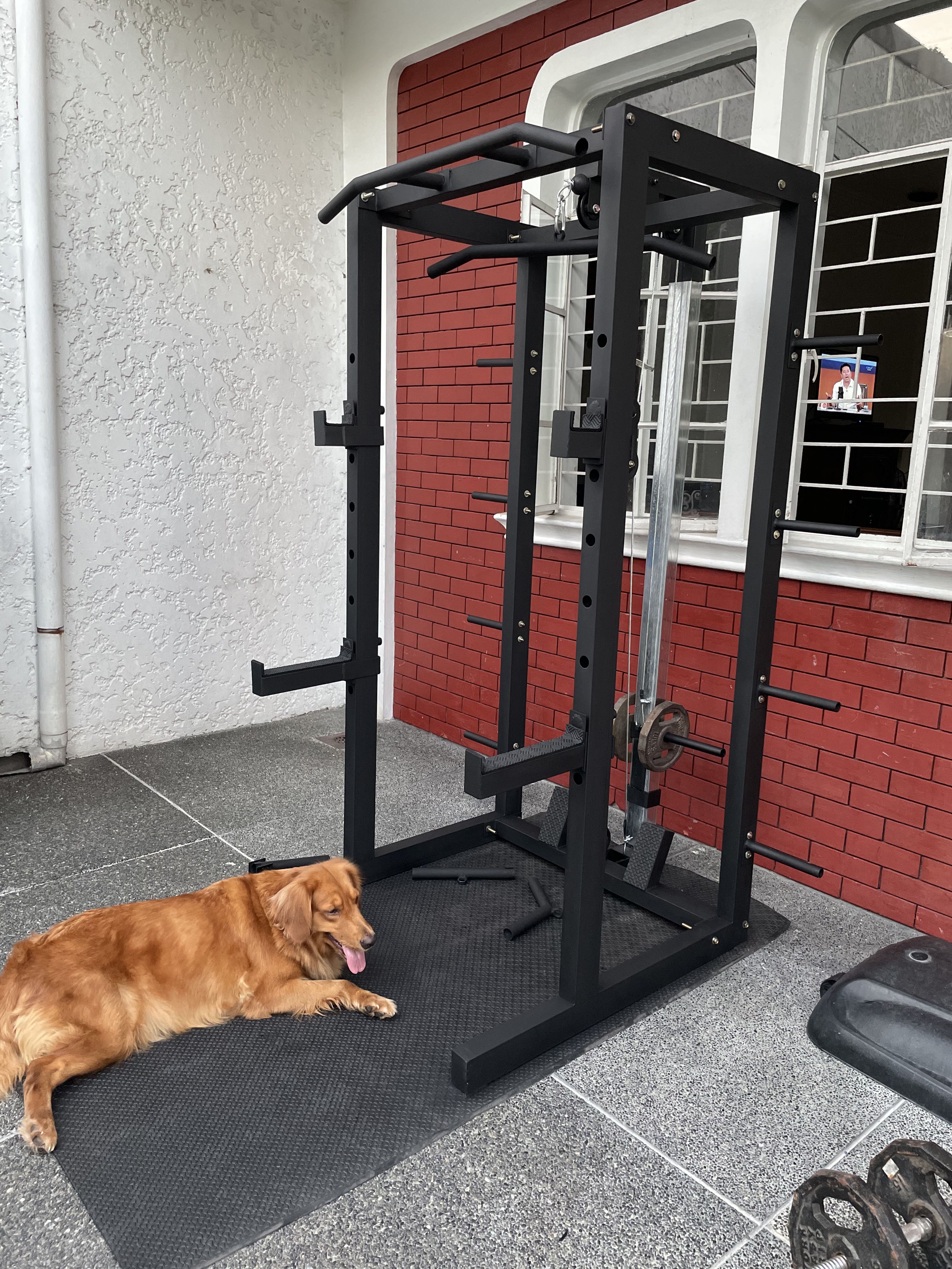 Power cage: squat rack, cable machine with pull up bar, Sports ...