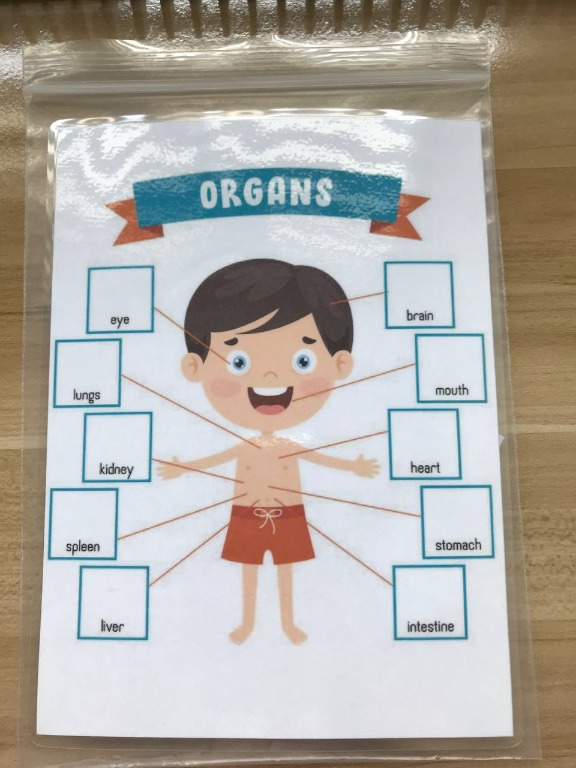 My Body - velcro activity for your little one!, Everything Else on ...