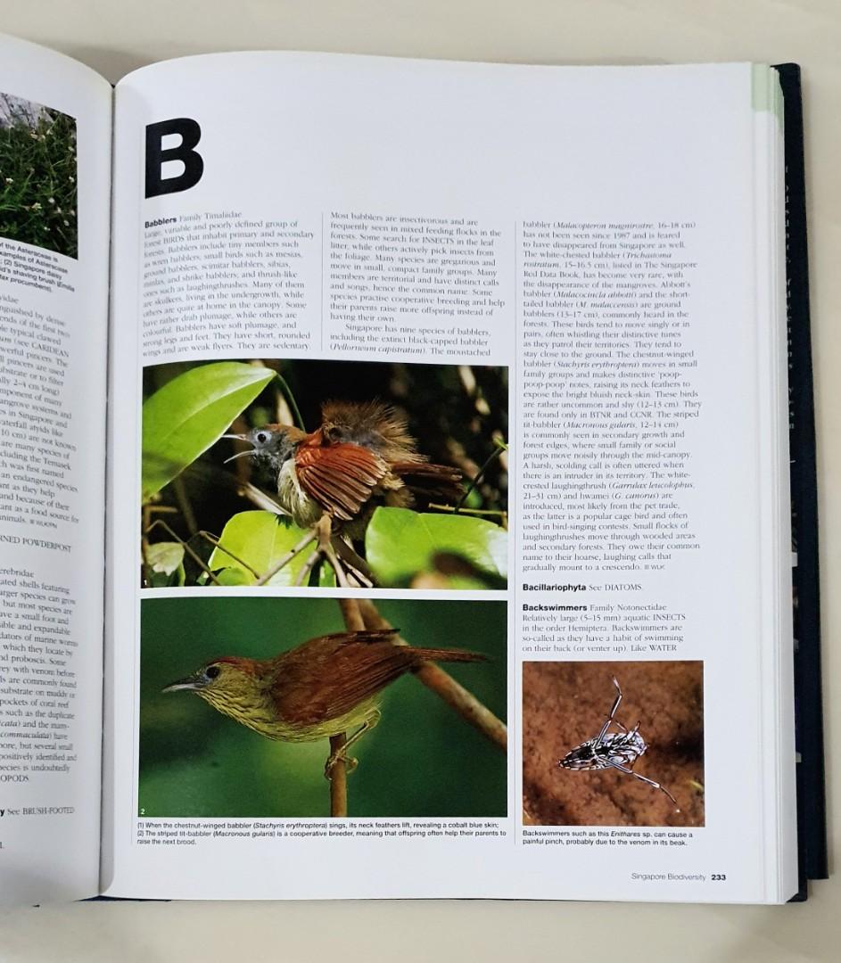 BIODIVERSITY - SINGAPORE, Hobbies & Toys, Books & Magazines, Textbooks ...