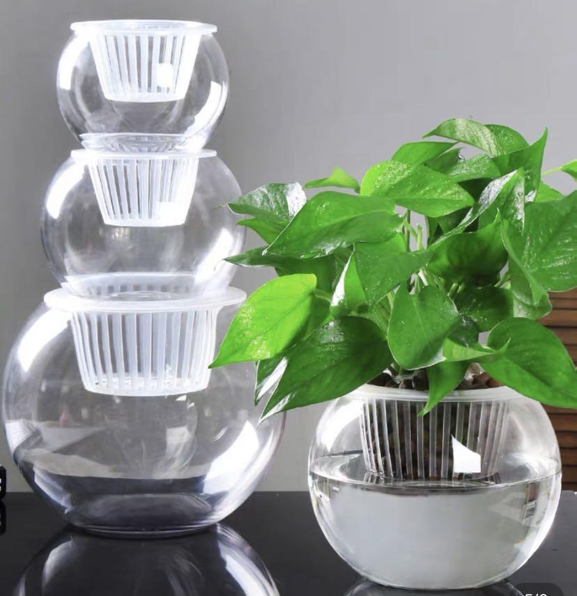 Creative hydroponic plant glass vase, transparent hydroponic green ...