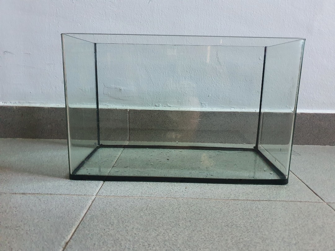 1ft curved glass tank, Pet Supplies, Homes & Other Pet Accessories on ...