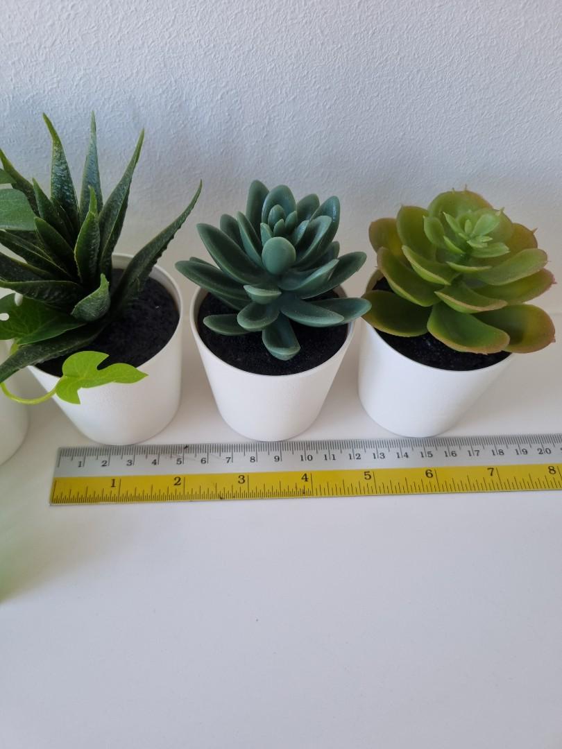 Artificial Mini Plants, Furniture & Home Living, Gardening, Plants ...