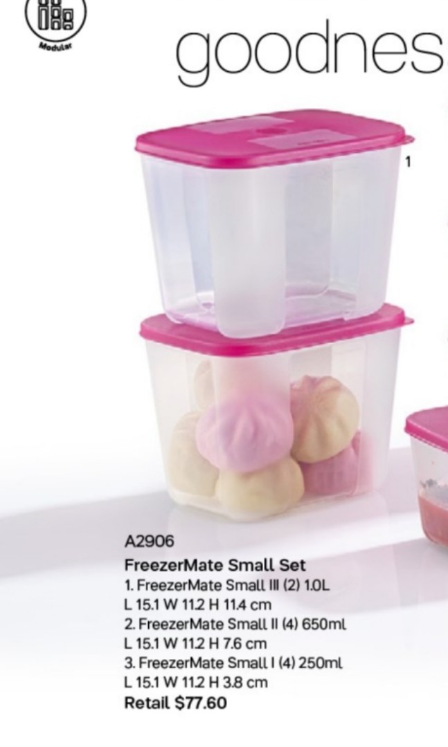 Tupperware blue freezermate small 1l, TV & Home Appliances, Kitchen ...