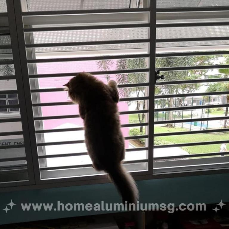 Window Grill Installation, Window Grill Contractor, Aluminium Window ...