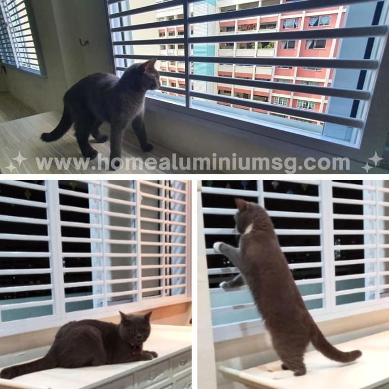 Window Grill Installation, Window Grill Contractor, Aluminium Window ...