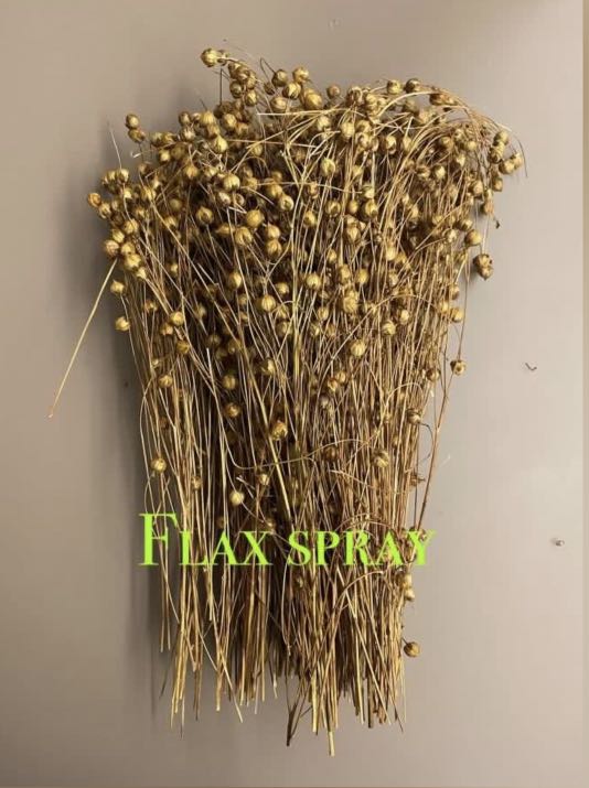 Flax spray, Pet Supplies, Pet Food on Carousell
