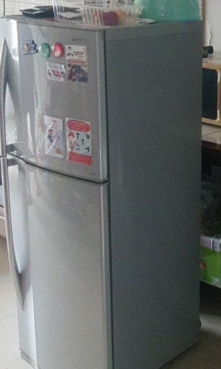 Fuss free cheap fridge for sale, TV & Home Appliances, Kitchen ...