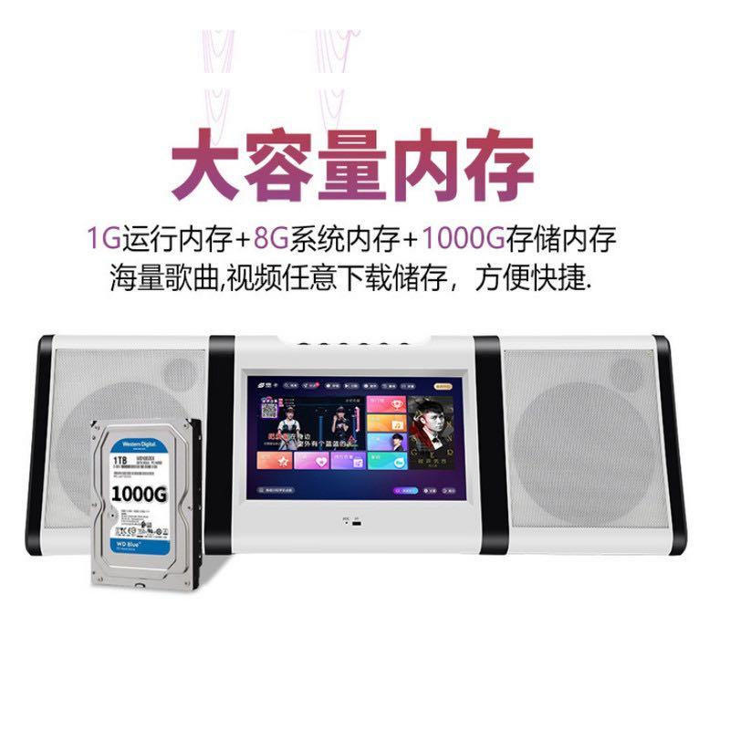 Karaoke system Soocar SK1098, TV & Home Appliances, TV & Entertainment ...