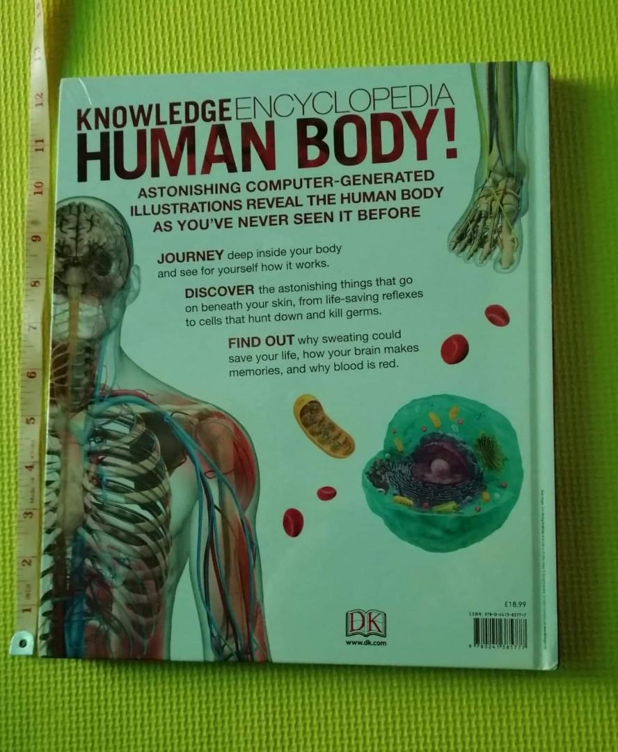 Knowledge Encyclopedia Human Body Large(Hardbound), Hobbies & Toys ...