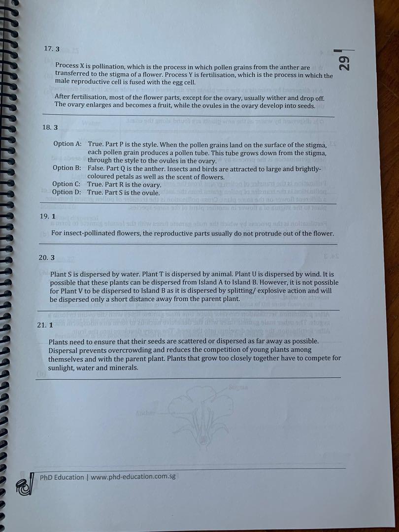 Primary 6 Science Exam Package 2017, Hobbies & Toys, Books & Magazines ...