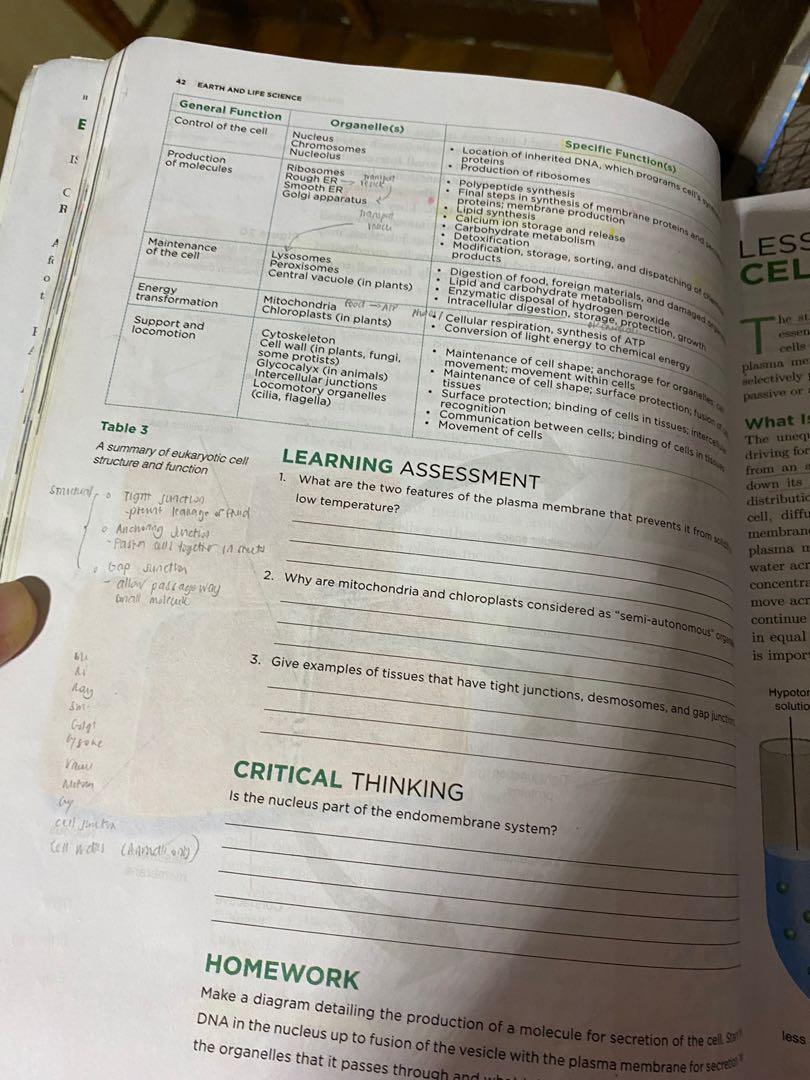 Vibal Earth and life science, Hobbies & Toys, Books & Magazines ...